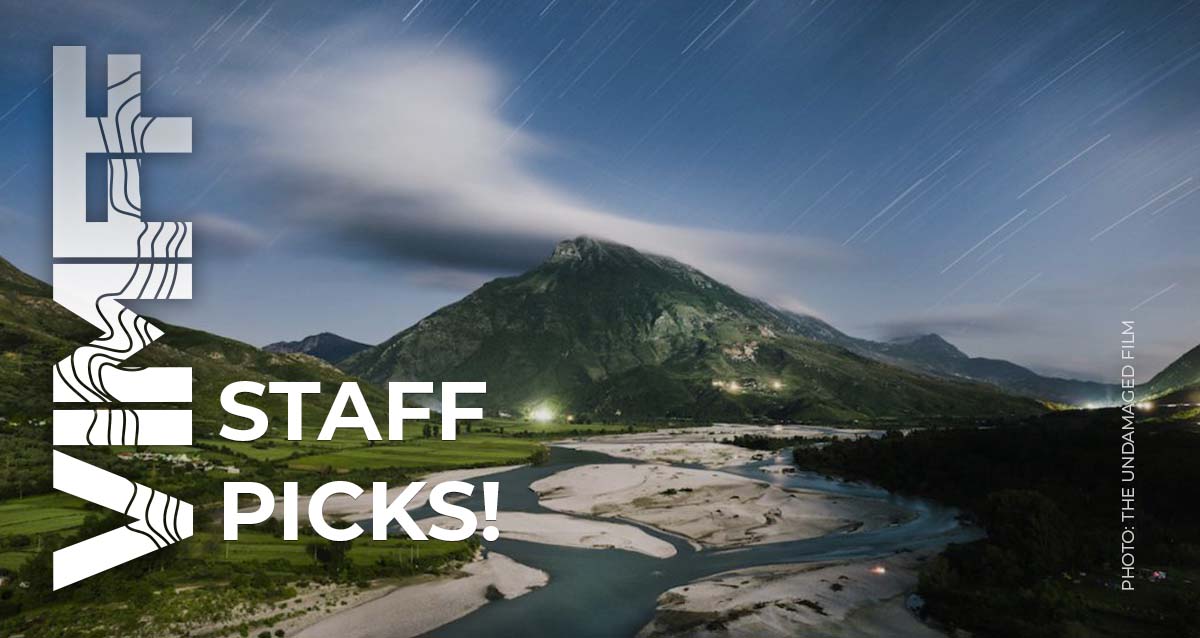 VIMFF Staff Offer Their Top Picks