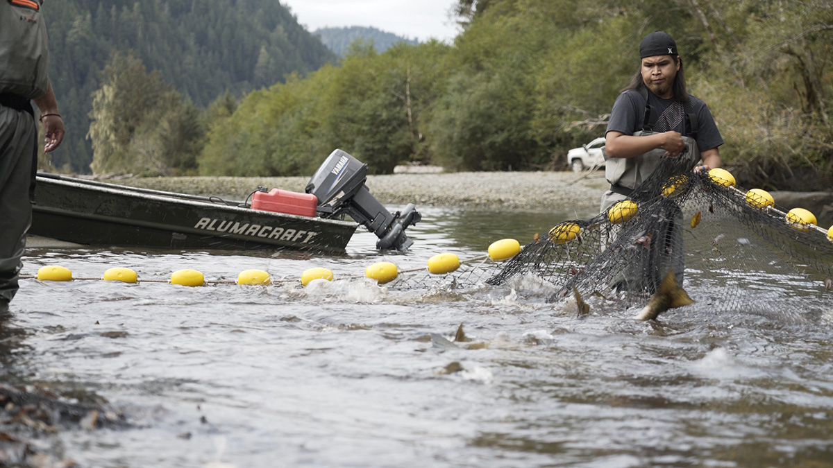 Salmon Parks | VIMFF 2022