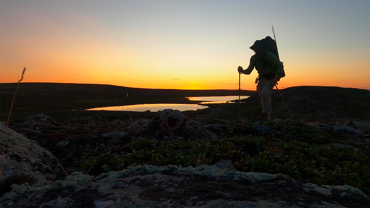 The High Road | VIMFF 2022