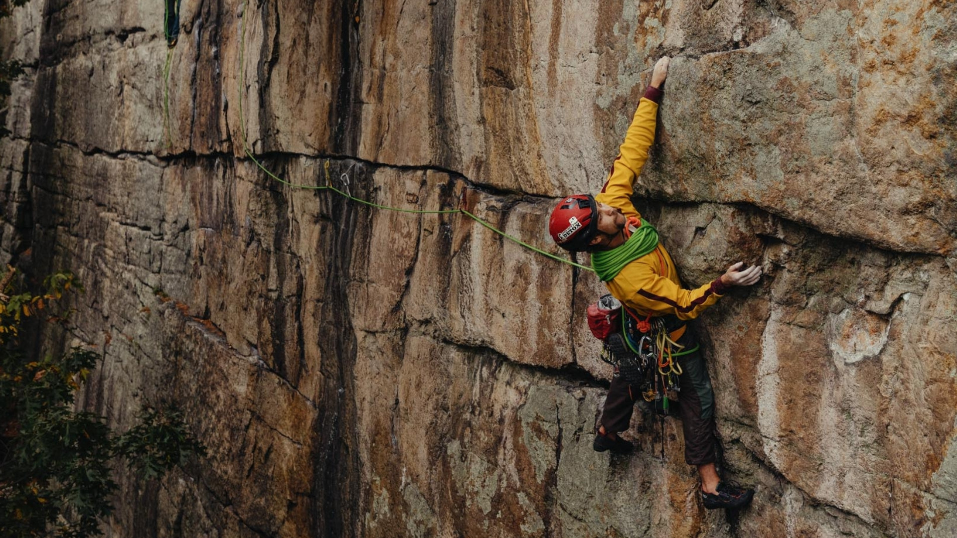 The Long Wall | VIMFF 2023