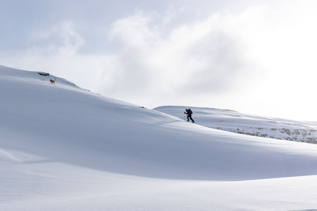 Old Mountain | VIMFF 2024